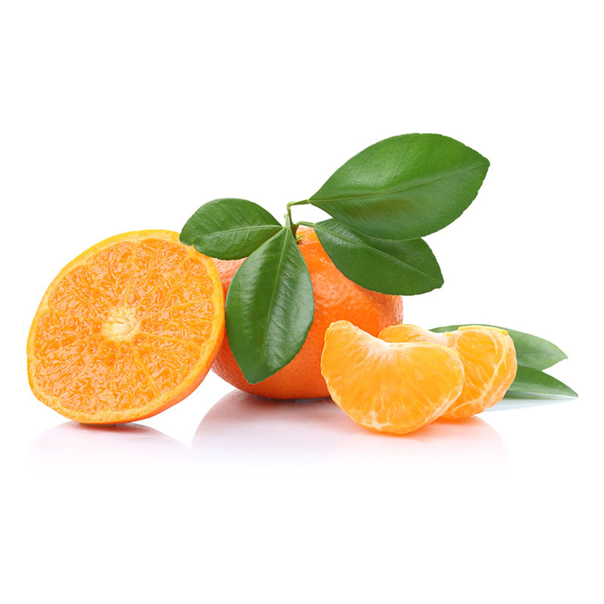 Mandarin Trees For Sale - MadisonCitrusNursery.com – Madison Citrus Nursery