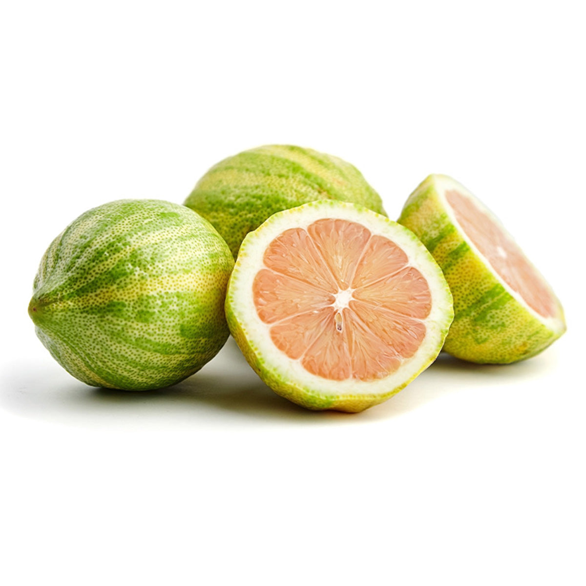 Variegated Citrus Trees For Sale – Madison Citrus Nursery