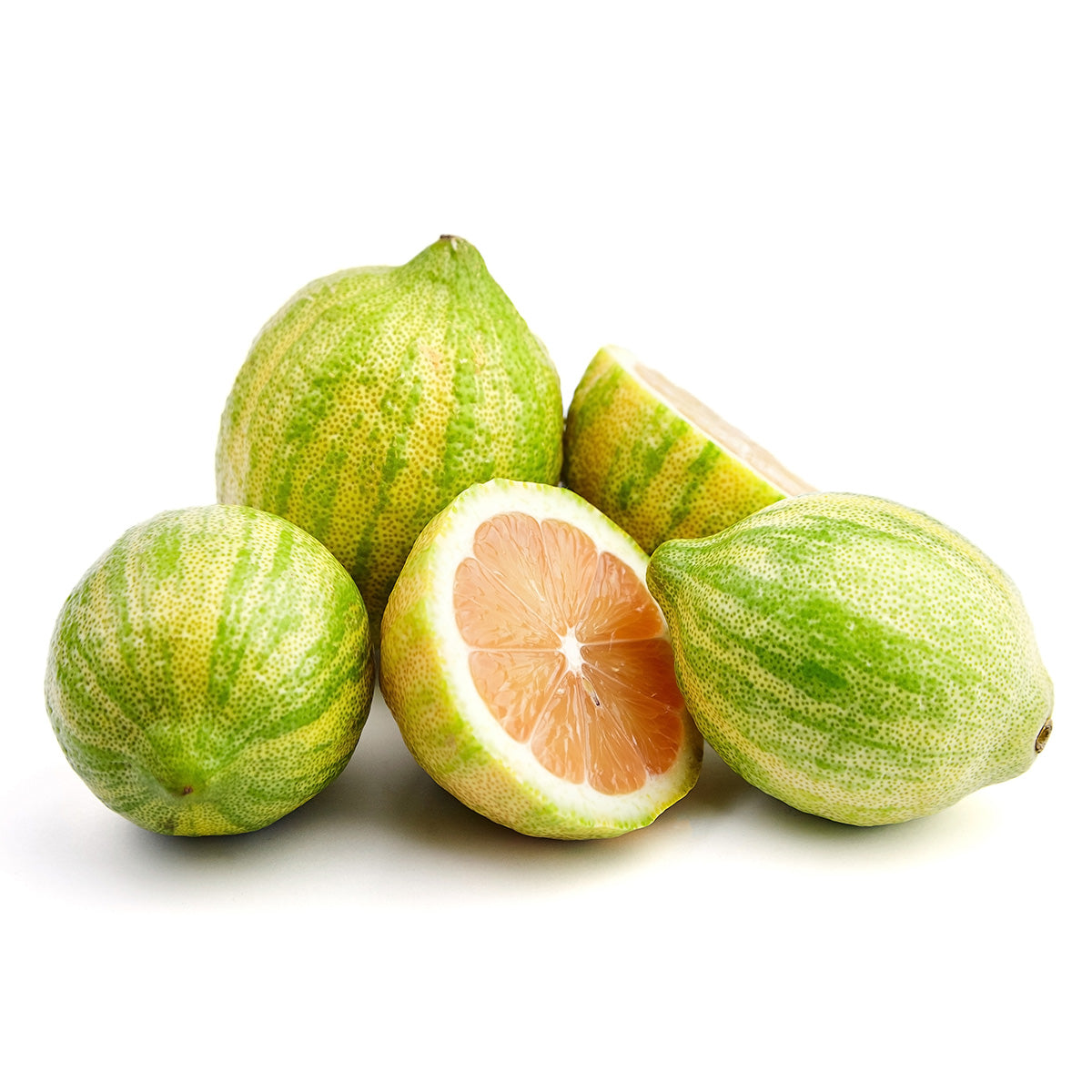 Variegated Pink Lemon Trees for Sale - MadisonCitrusNursery.com ...